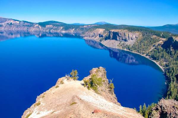 10 U.S. States With the Most Forest Land - Tiny Tree Hub