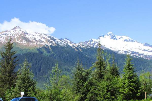 10 U.S. States With the Most Forest Land - Tiny Tree Hub